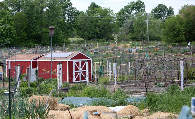 Photos: Troy Gardens | Local News | captimes.com