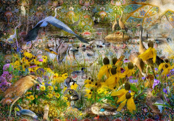 Wisconsin artist Lisa Frank lifts Madison spirits, one crane at a time ...