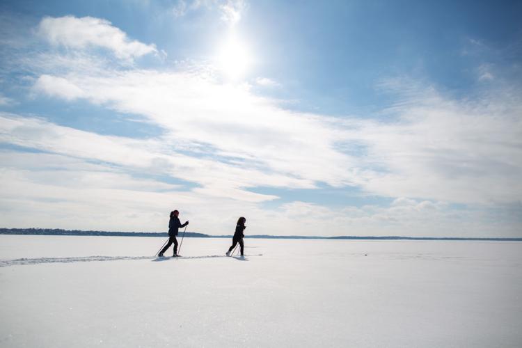 Photos: A snowy day in Madison | Local News | captimes.com