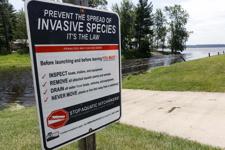 Wisconsin lakes struggling against invasive species | News | captimes.com