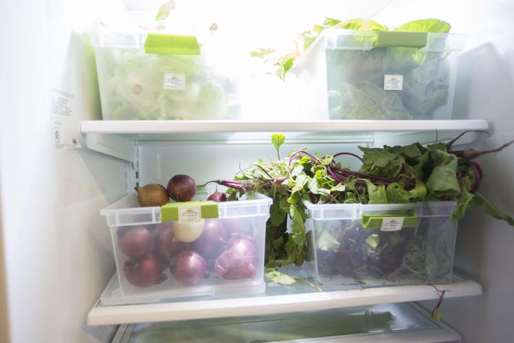 Photos: UW Campus Food Shed opens | Local News | captimes.com