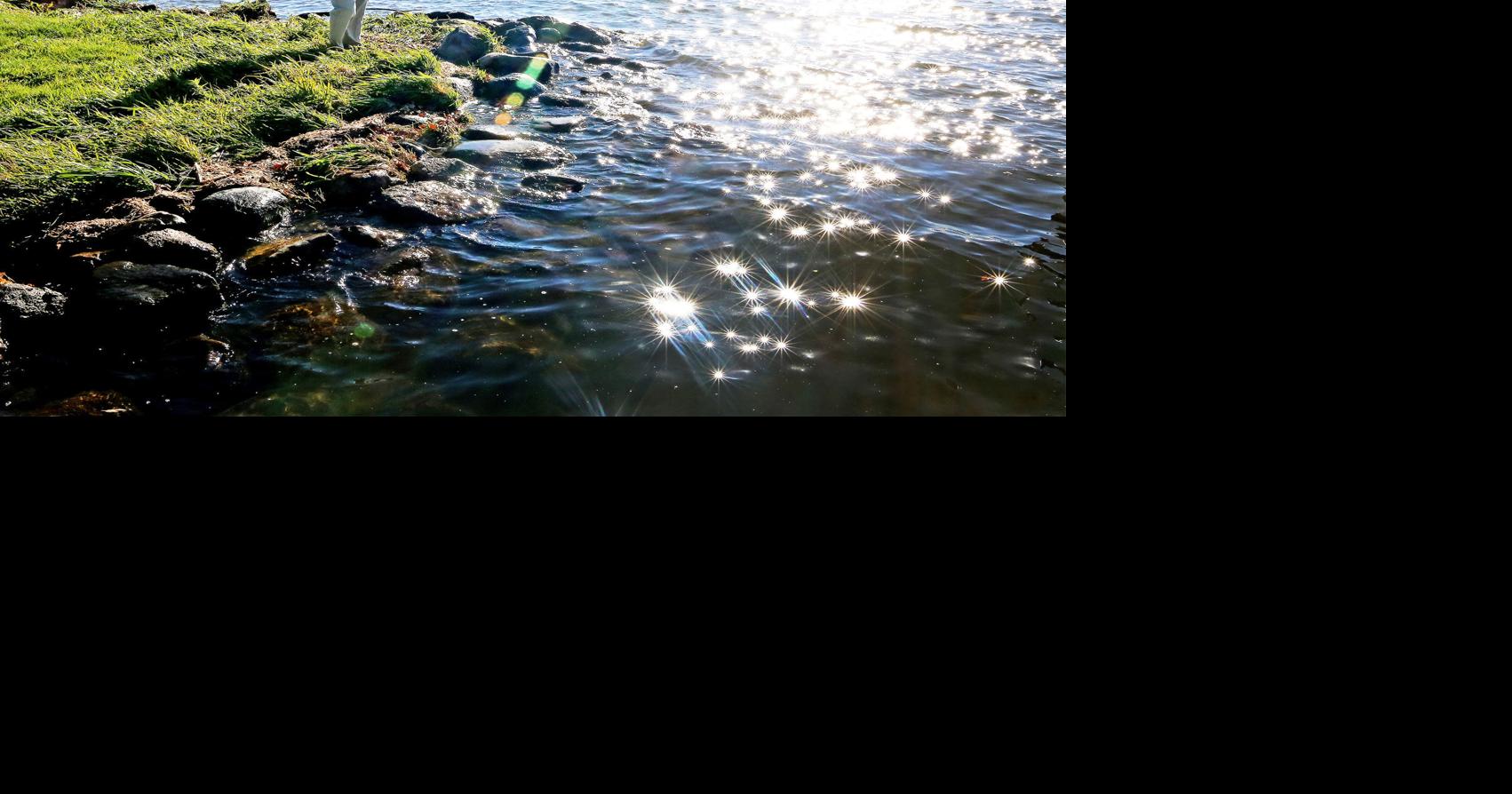 Mark Redsten: Trump’s 'Dirty Water Rule' puts drinking water in ...