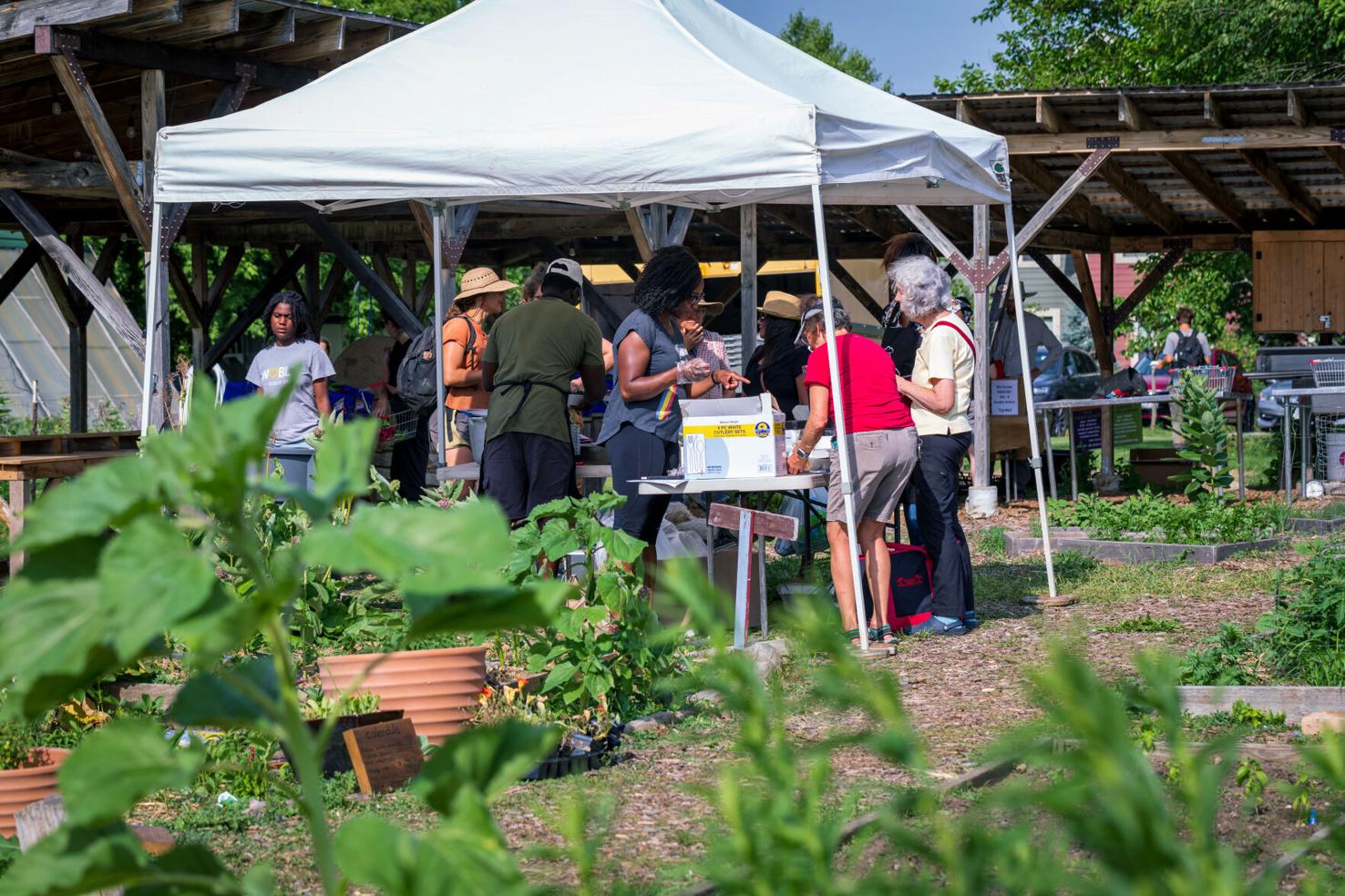 Madison’s Troy Farm halts CSA program, citing financial pressure | Food ...