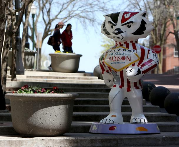 Photos: Bucky on Parade | Local News | captimes.com