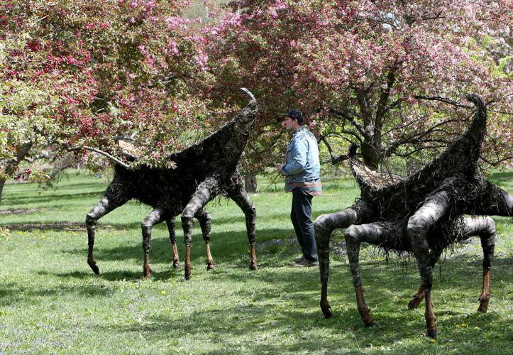 Photos: Spring in bloom at the UW Arboretum | Local News | captimes.com