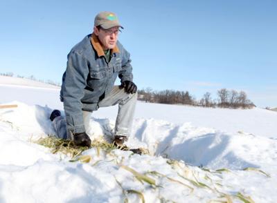 Yahara Pride looks to enlist local farmers in the fight against ...