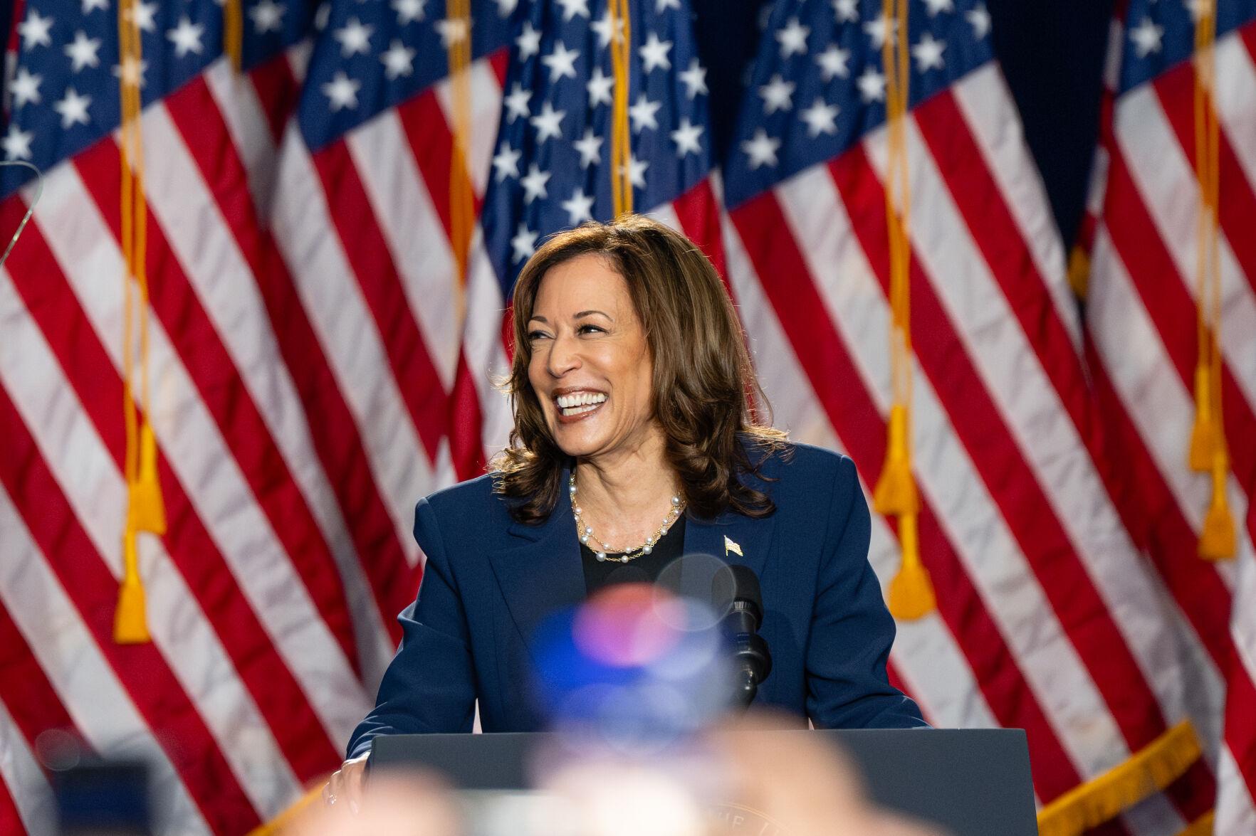 Kamala Harris outlines 2025 goals, from family leave to child care ...