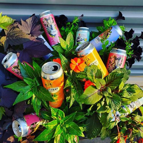 Ale Asylum strays into a booming hard seltzer market | Food & Drink ...