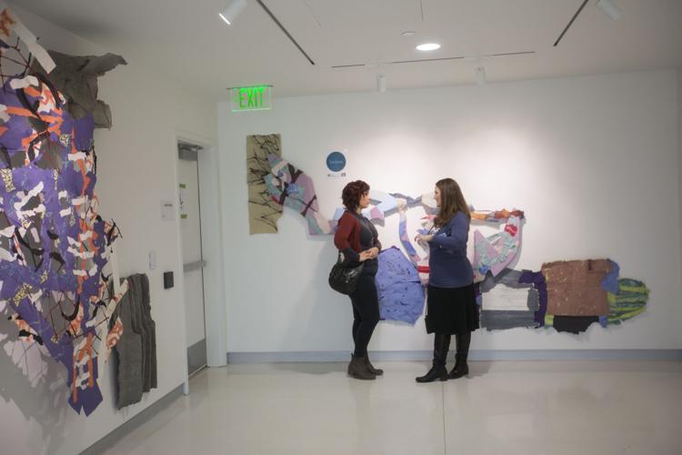 Photos: Real Life Library at Madison Public Library | Local News ...