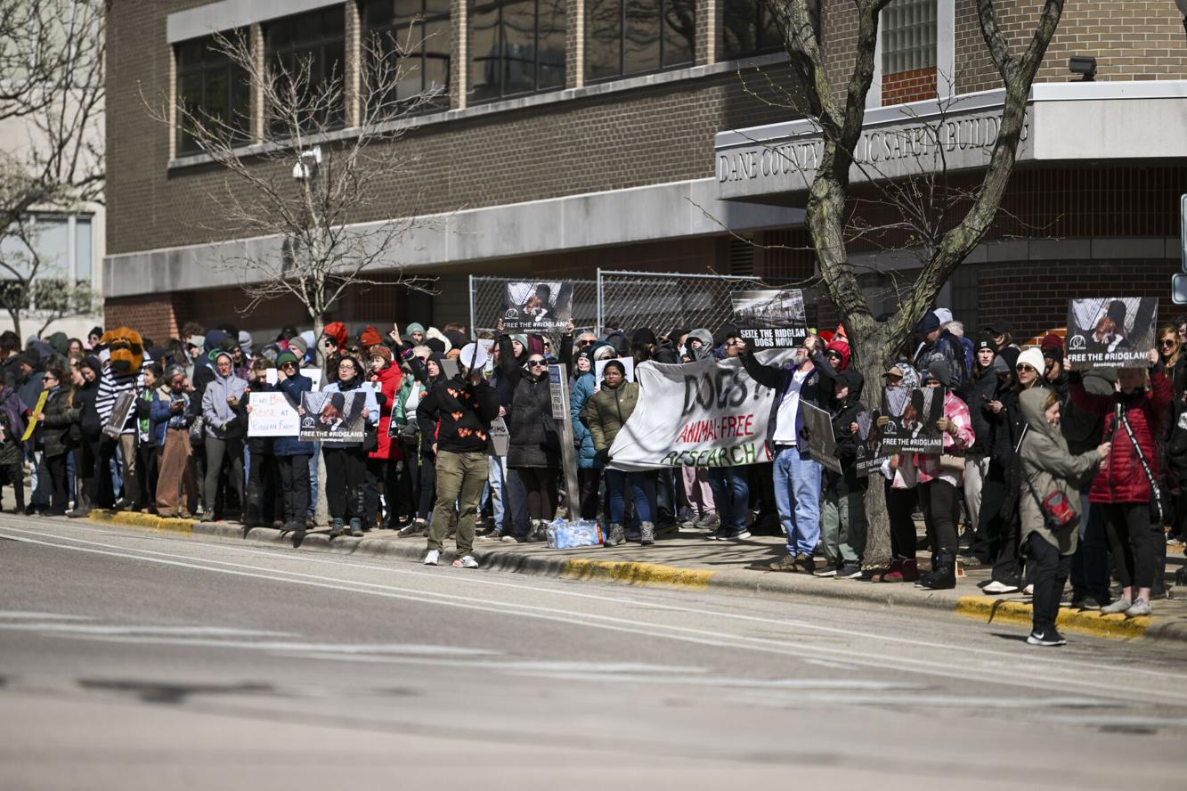 Dane County police tear-gas, arrest animal activists at Ridglan Farms ...