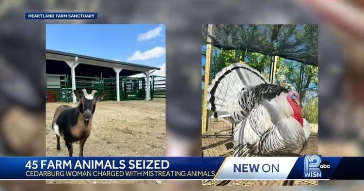 We need to reject animal cruelty as acceptable behavior | Guest Columns ...