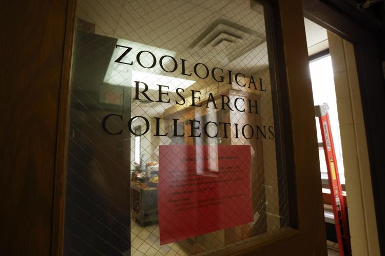 zoological collection