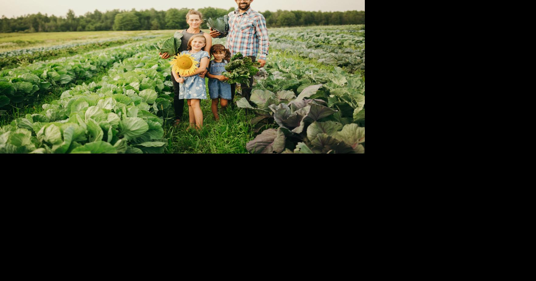 'Wisconsin Field to Fork' puts the focus on growers and producers ...