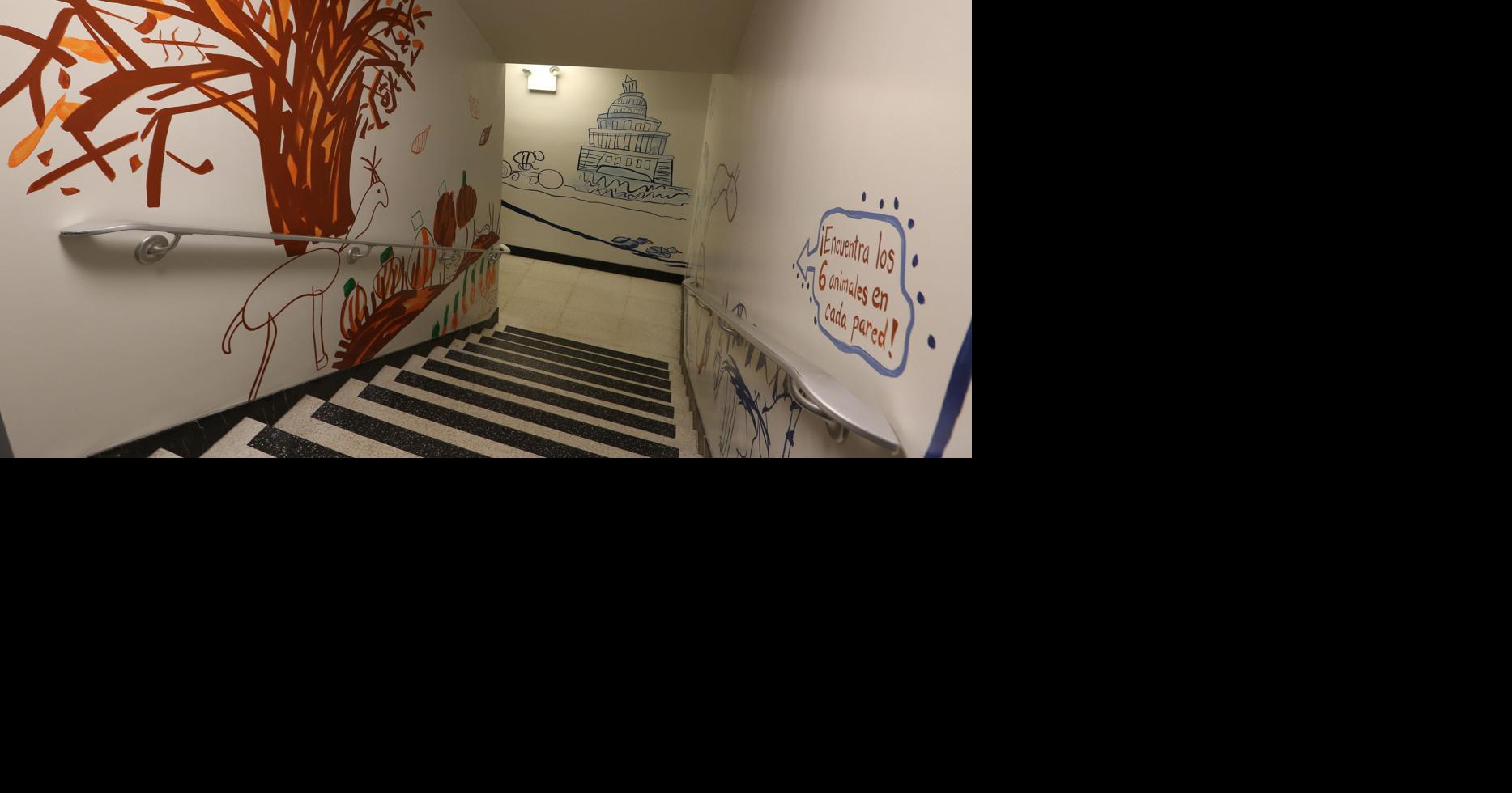 Dane Arts murals brighten up the city | Entertainment | captimes.com