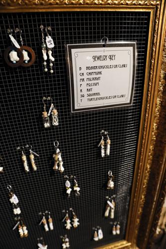 PHOTOS: Tour Exquisite Corpse Taxidermy | News | captimes.com