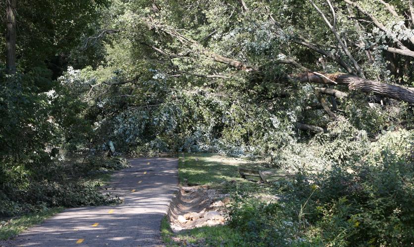 Photos: Surveying flood damage in Middleton | Local News | captimes.com