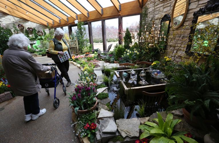 Photos: Spring Flower Show at Olbrich Botanical Gardens | Local News ...