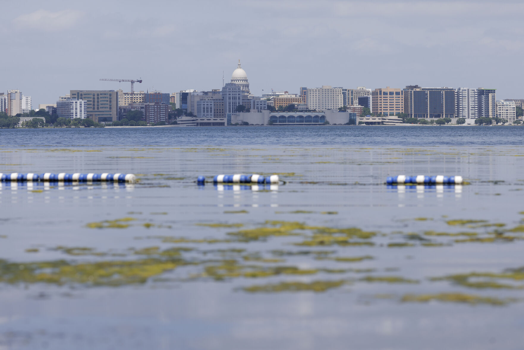When Madison beaches close due to toxic water, economy loses millions ...