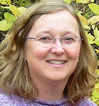 Robin Schmidt: County Board progressives use power for good | News ...