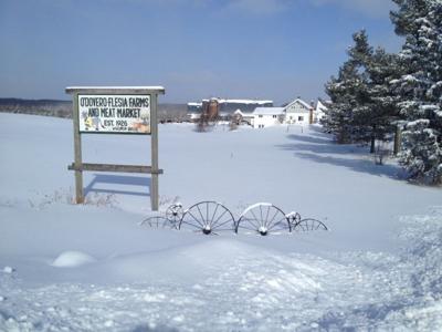 Film on Gogebic Taconite mine to air on Al Jazeera America | Local News ...