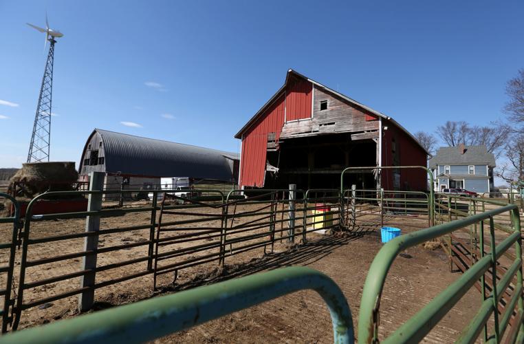 Photos: Fountain Prairie Farm | Food & Drink | captimes.com