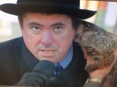 groundhog bite icd 10