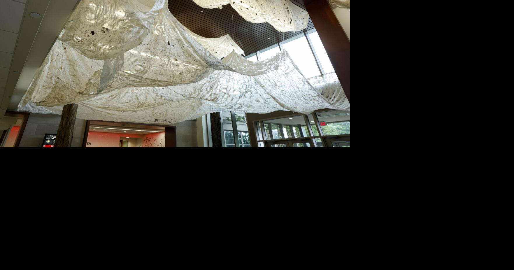 Trees and clouds made of wool at new UW-Madison art installation ...
