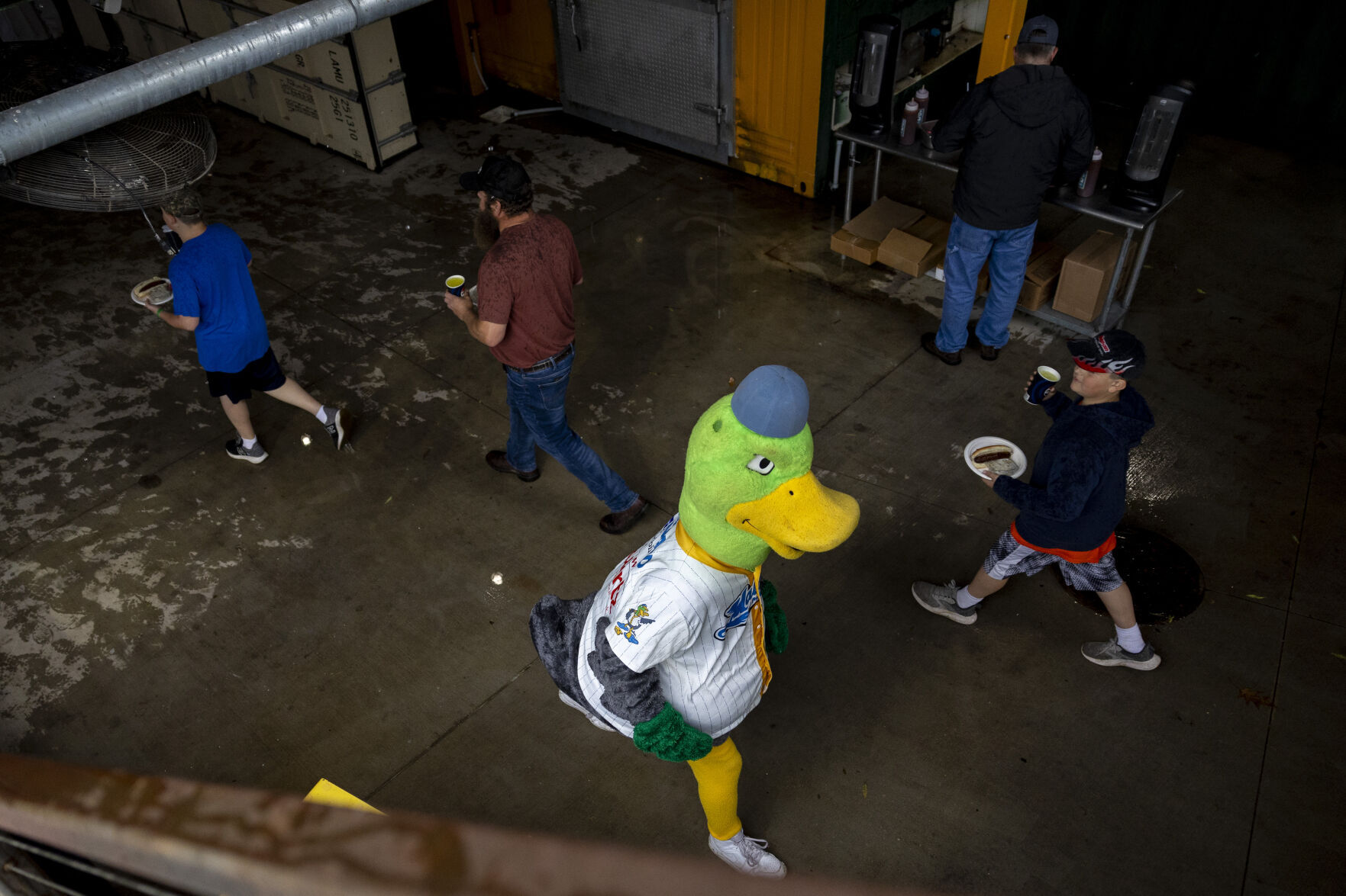 Madison Mallards will make bobbleheads fly to please fans | Sports ...