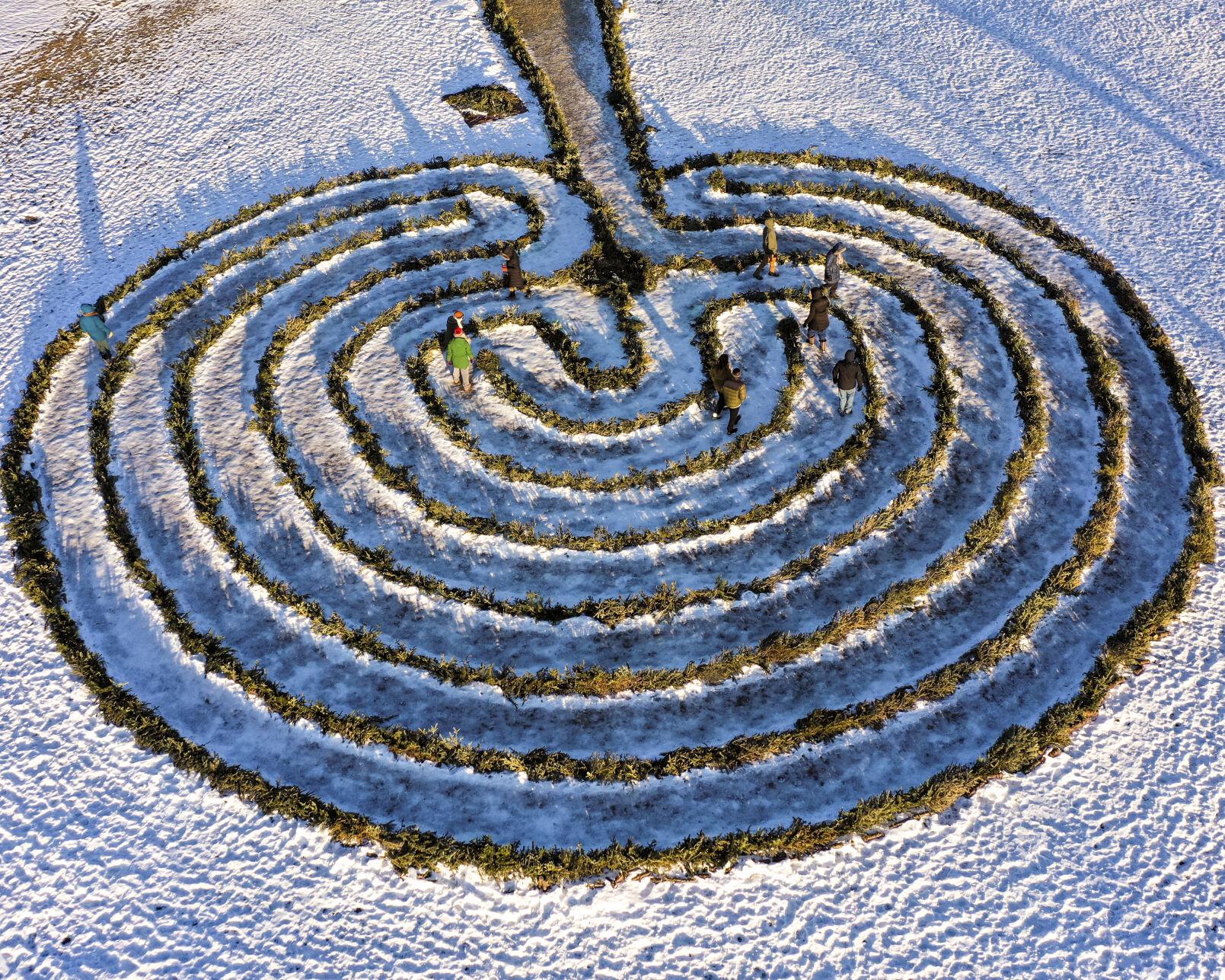 PHOTOS: Walk a tree labyrinth at Olbrich Park in Madison | News ...