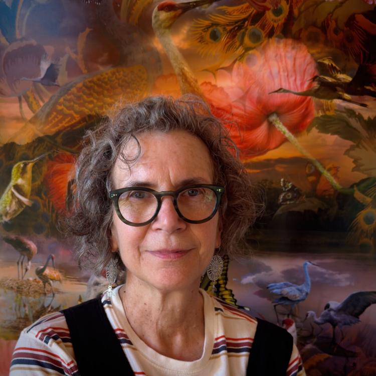 Wisconsin artist Lisa Frank lifts Madison spirits, one crane at a time ...