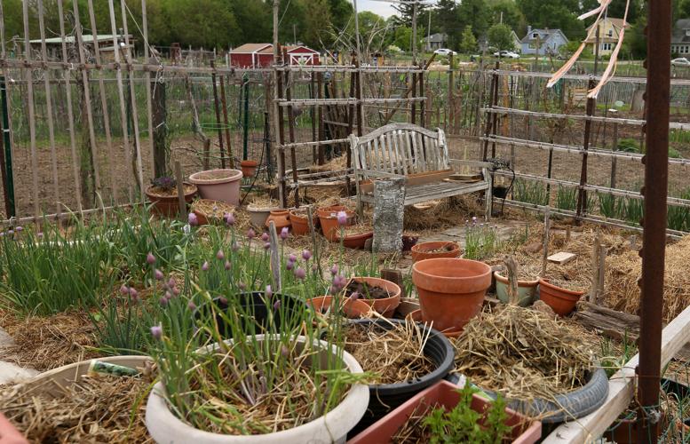 Photos: Troy Gardens | Local News | captimes.com