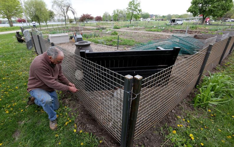 Photos: 'Updraft' at Brittingham Park | Local News | captimes.com