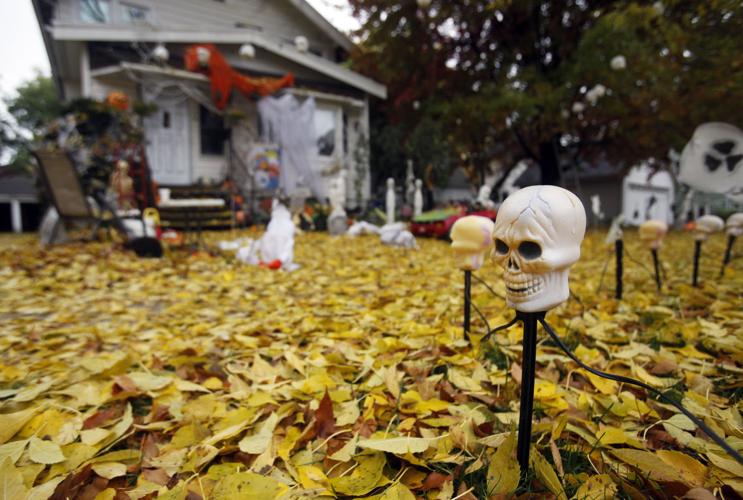 Photos: Madison residents get in the Halloween spirit | Local News ...