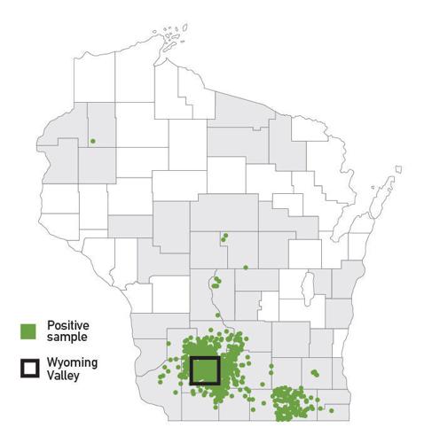 Some fear that chronic wasting disease is spinning out of control in ...