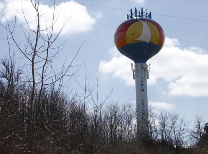Photos: Variety among Madison-area water towers | Local News | captimes.com
