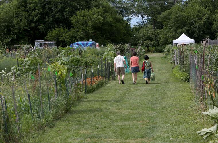Photos: Urban farming fans celebrate at the Troy Gardens Summer ...