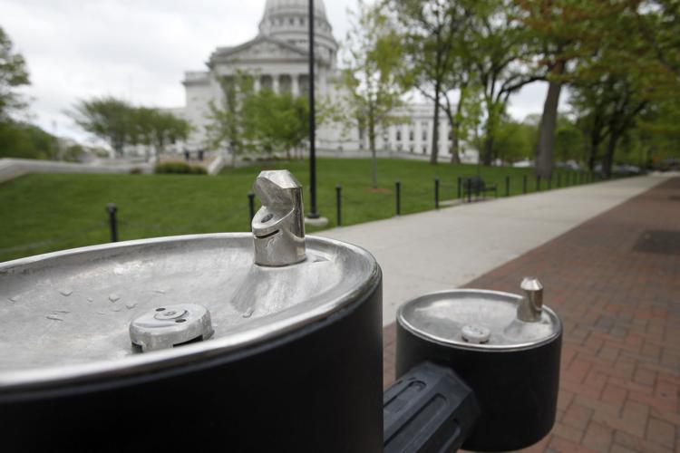 Photos: Bubblers around Madison | Local News | captimes.com