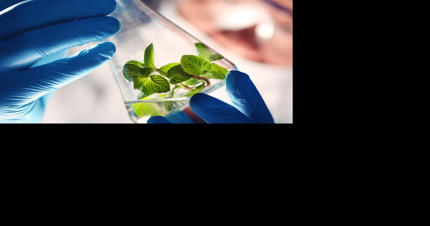 Dr. Dipesh Navsaria: When writing, don't only blind them with science ...
