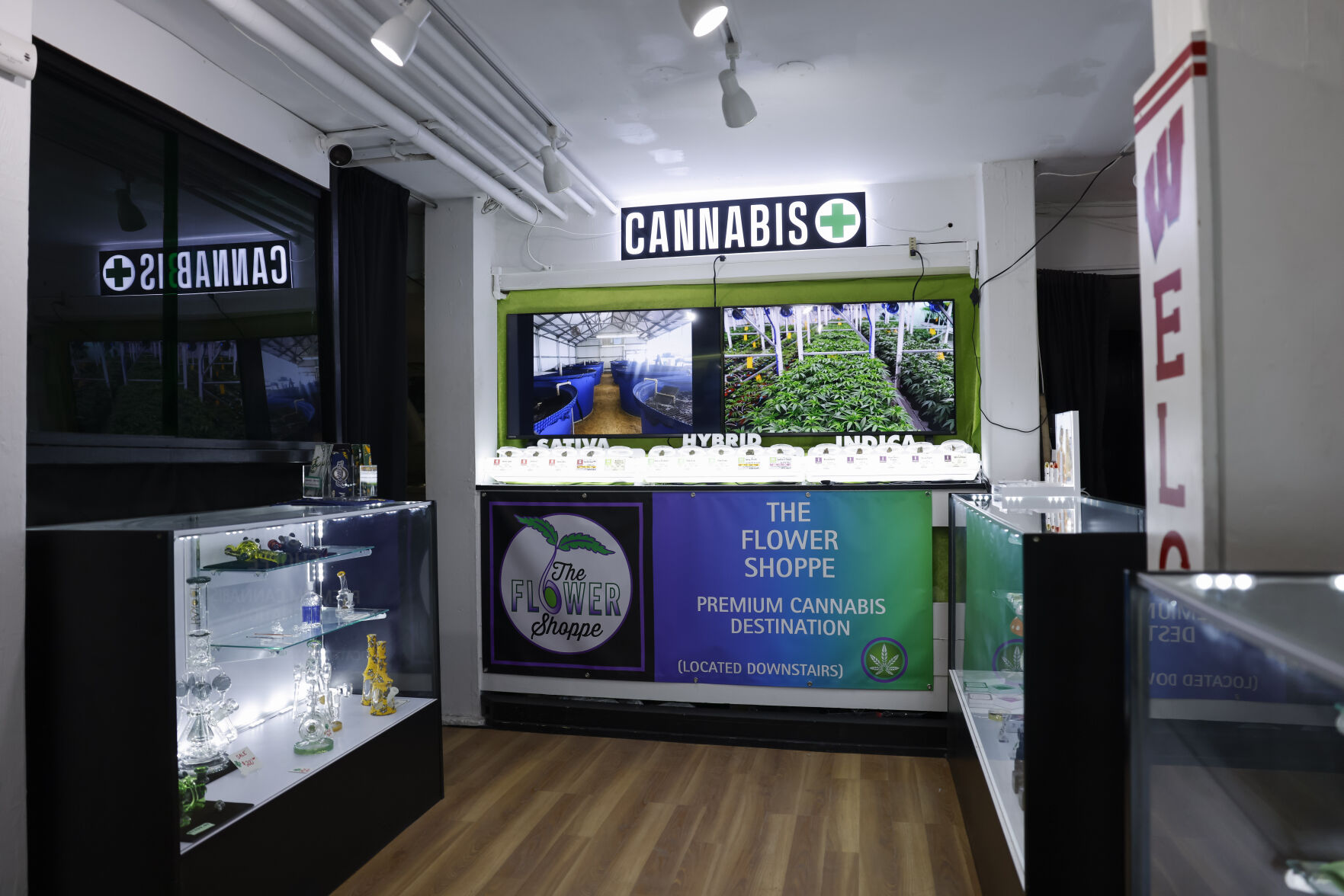 Cannabis stores on State Street face a hazy future | Entertainment ...