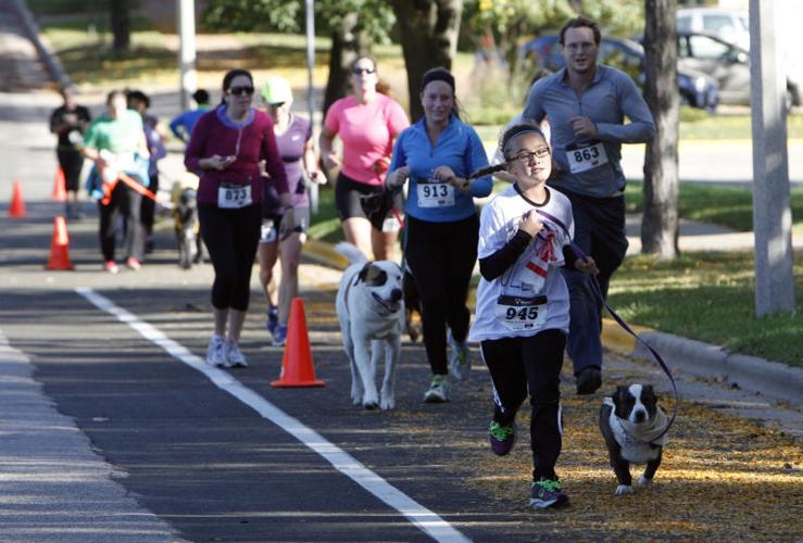 Photos: Dogtoberfest's Six-Legged Race | Local News | captimes.com
