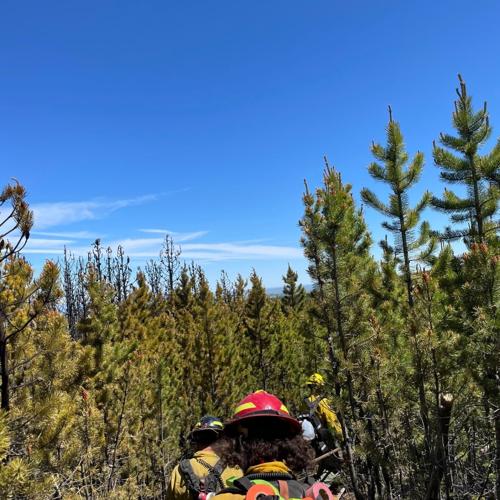 Mission Accomplished! E. Rosebud Fire Out! | News | carboncountynews.com