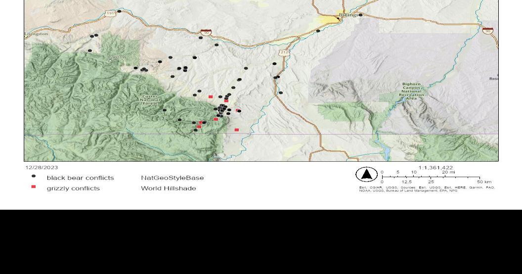 Be Aware: 80 Human Conflicts with Black Bears, Grizz in '23 | News ...