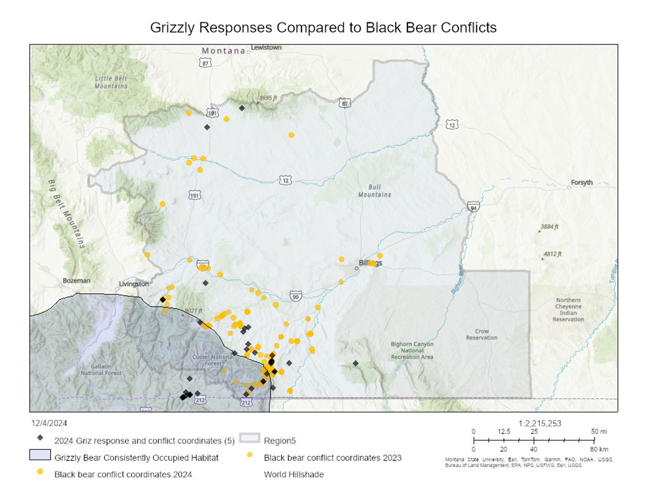 “Garbage is a Gateway Drug for Bears!” Part I | News | carboncountynews.com