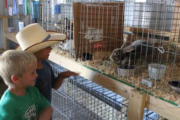 CC Fair Cheers Everyone! | News | carboncountynews.com