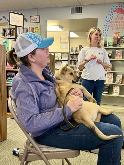 Beartooth Humane Alliance always looking for foster families | News ...