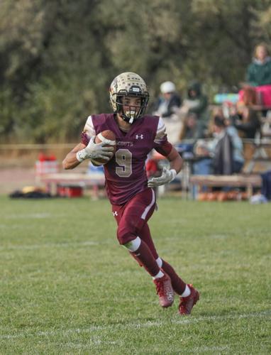 Goltz named Southern C Division Coach of the Year; players honored ...