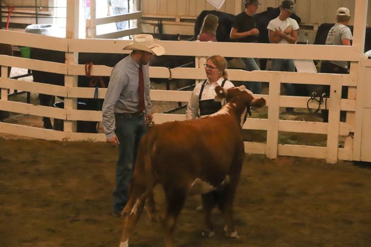 CC Fair Cheers Everyone! | News | carboncountynews.com