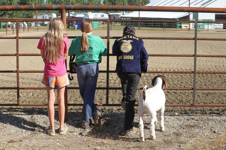 CC Fair Cheers Everyone! | News | carboncountynews.com