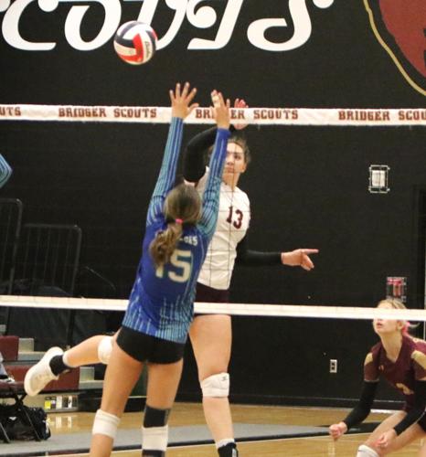 Lady Scouts finish season with a flourish | News | carboncountynews.com