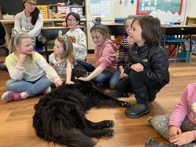 Beartooth Humane Alliance Teaches Carbon County Students Dog Safety ...